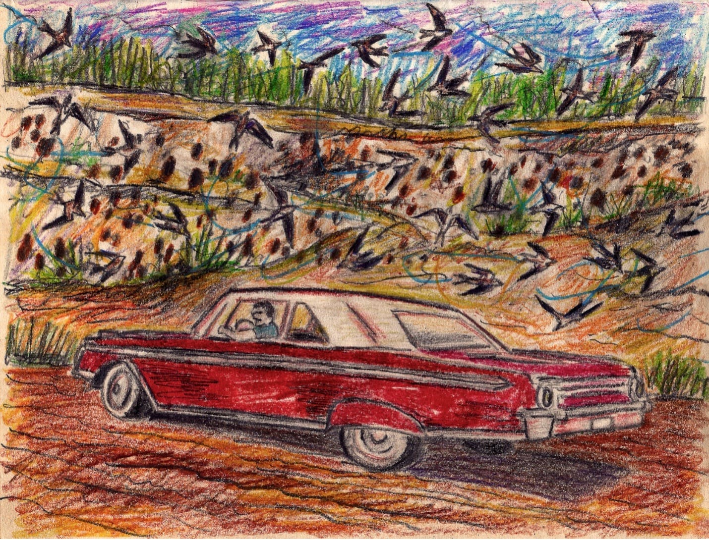 Autoethnographic Art and Essay: Ode to Bygone Birds of Childhood, Part ...