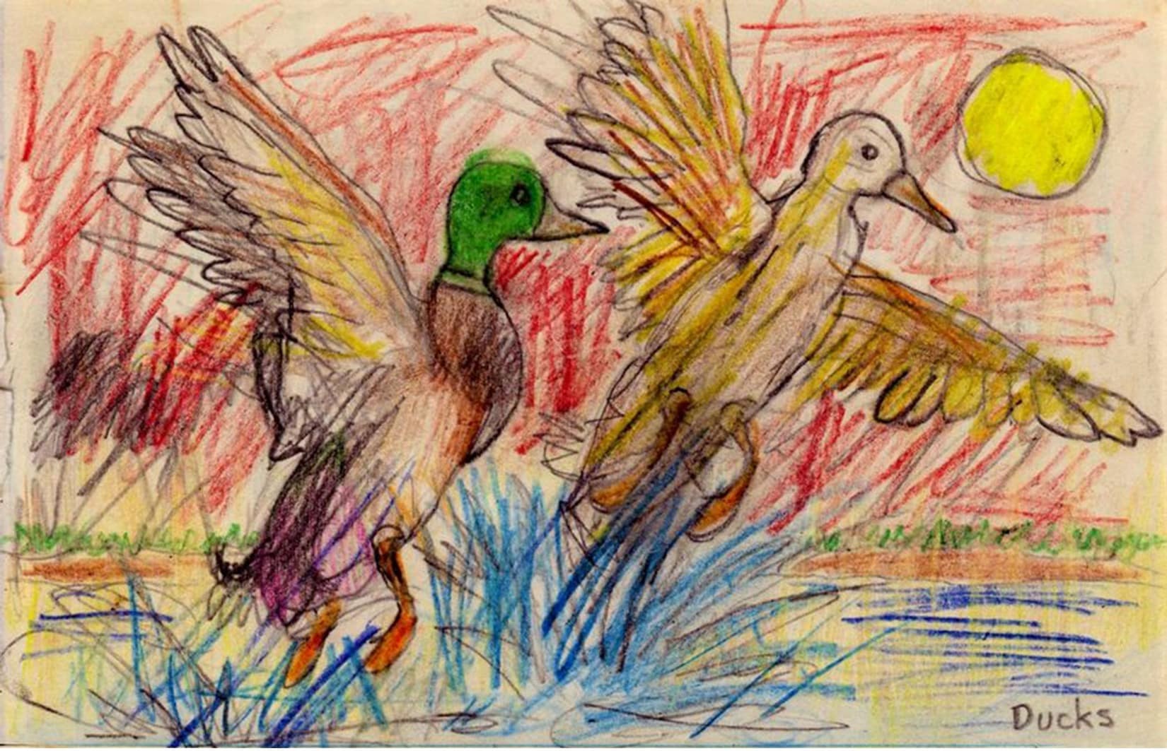 Autoethnographic Art and Essay: Ode to Bygone Birds of Childhood, Part ...