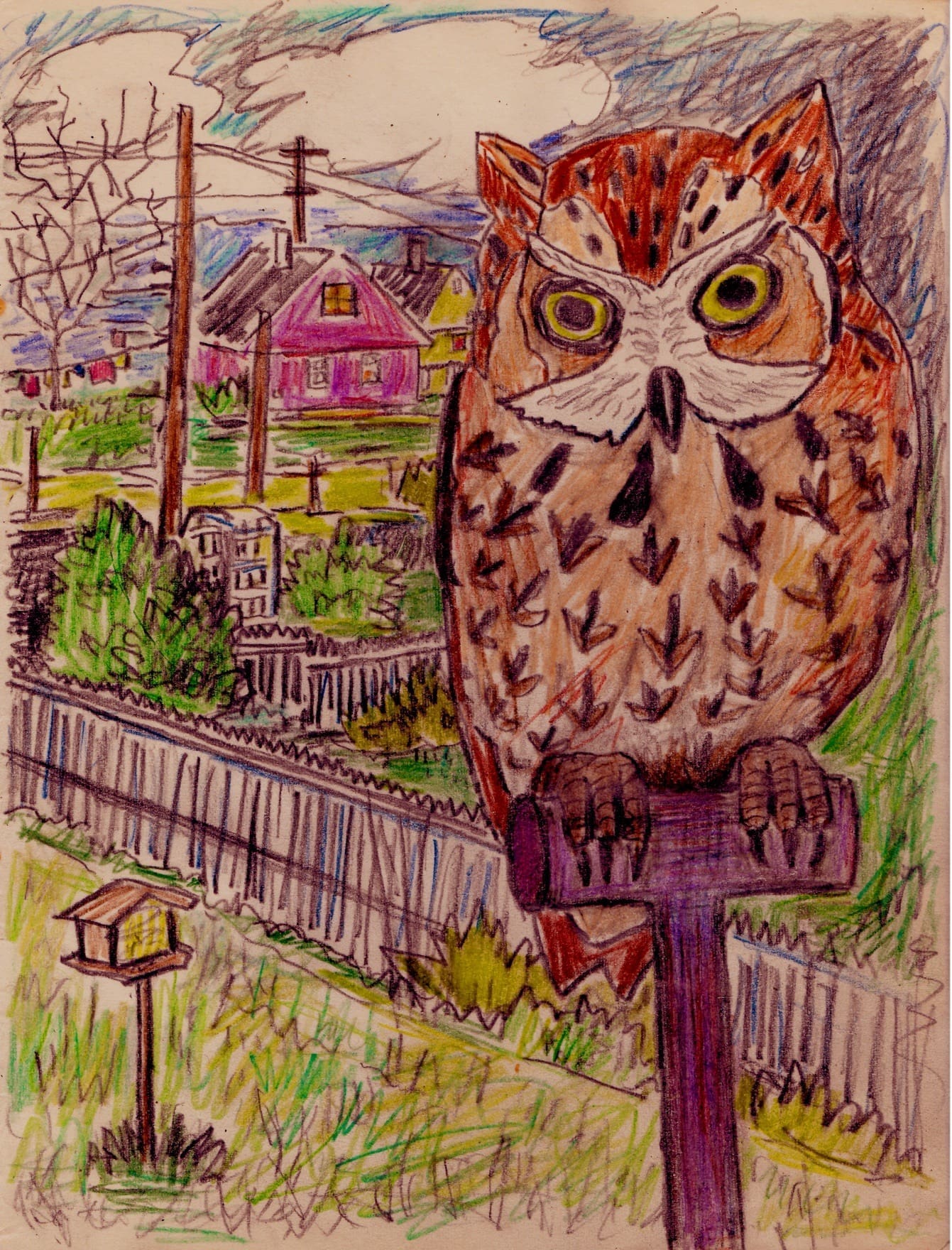 Autoethnographic Art and Essay: Ode to Bygone Birds of Childhood, Part ...