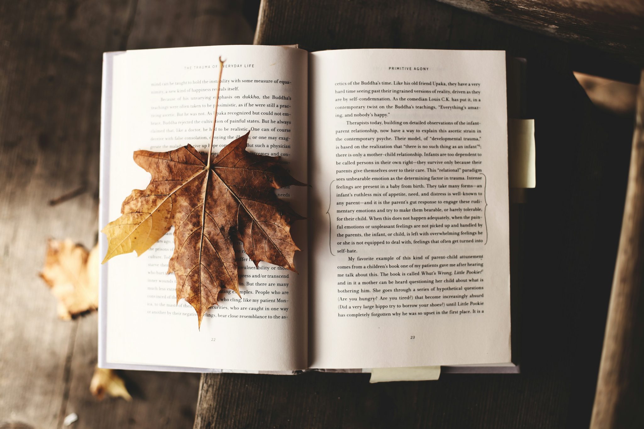 Autoethnographic Essays Archives - The AutoEthnographer